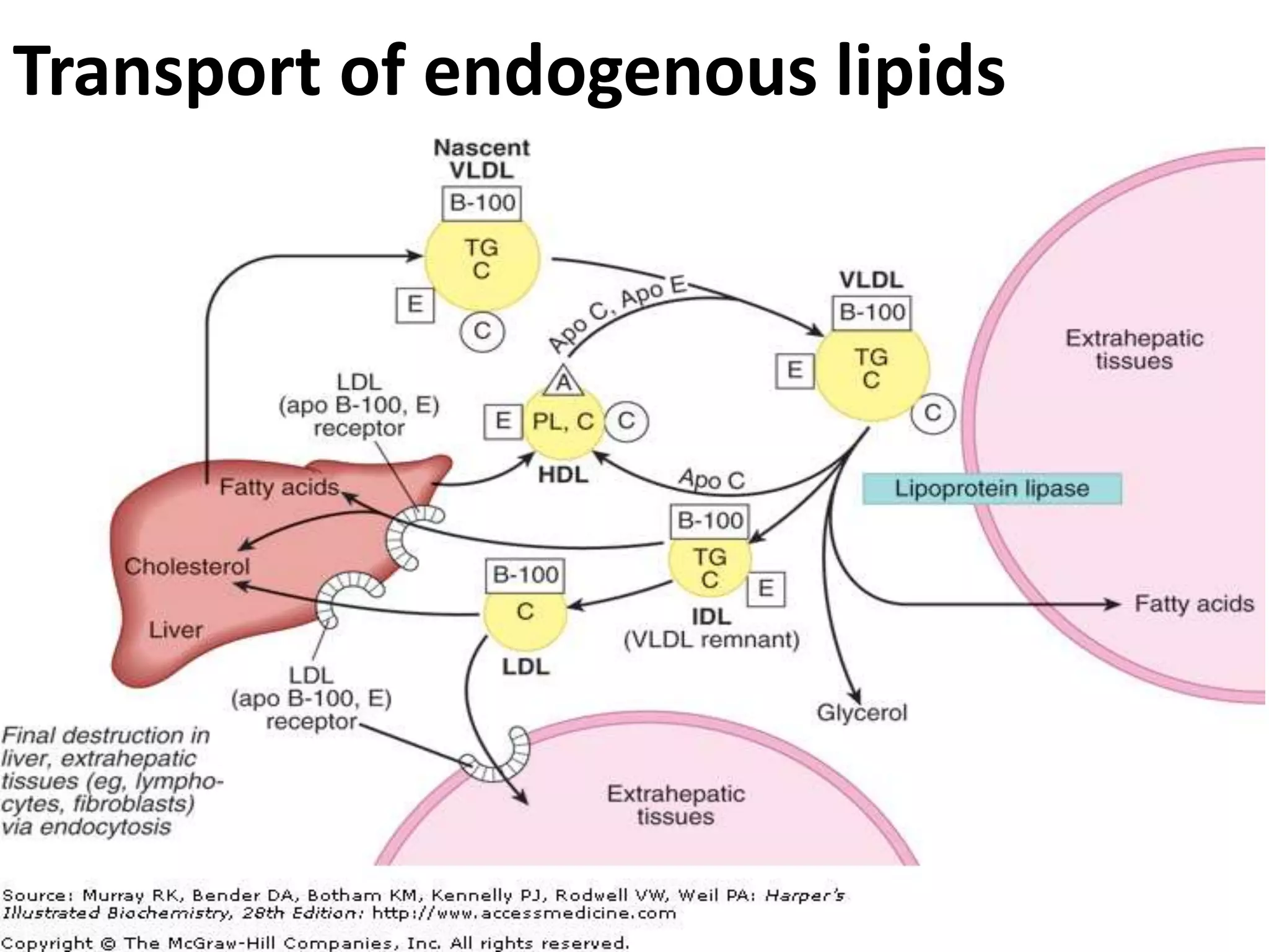Disorders of Lipoprotein Metabolism | PPTX