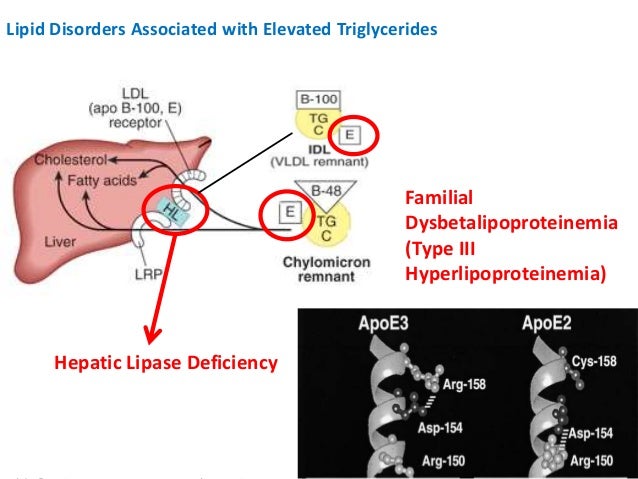 Disorders of Lipoprotein Metabolism