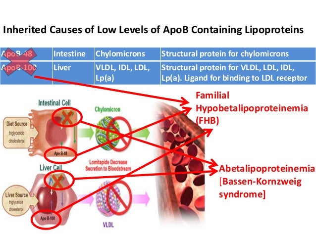 Disorders of Lipoprotein Metabolism