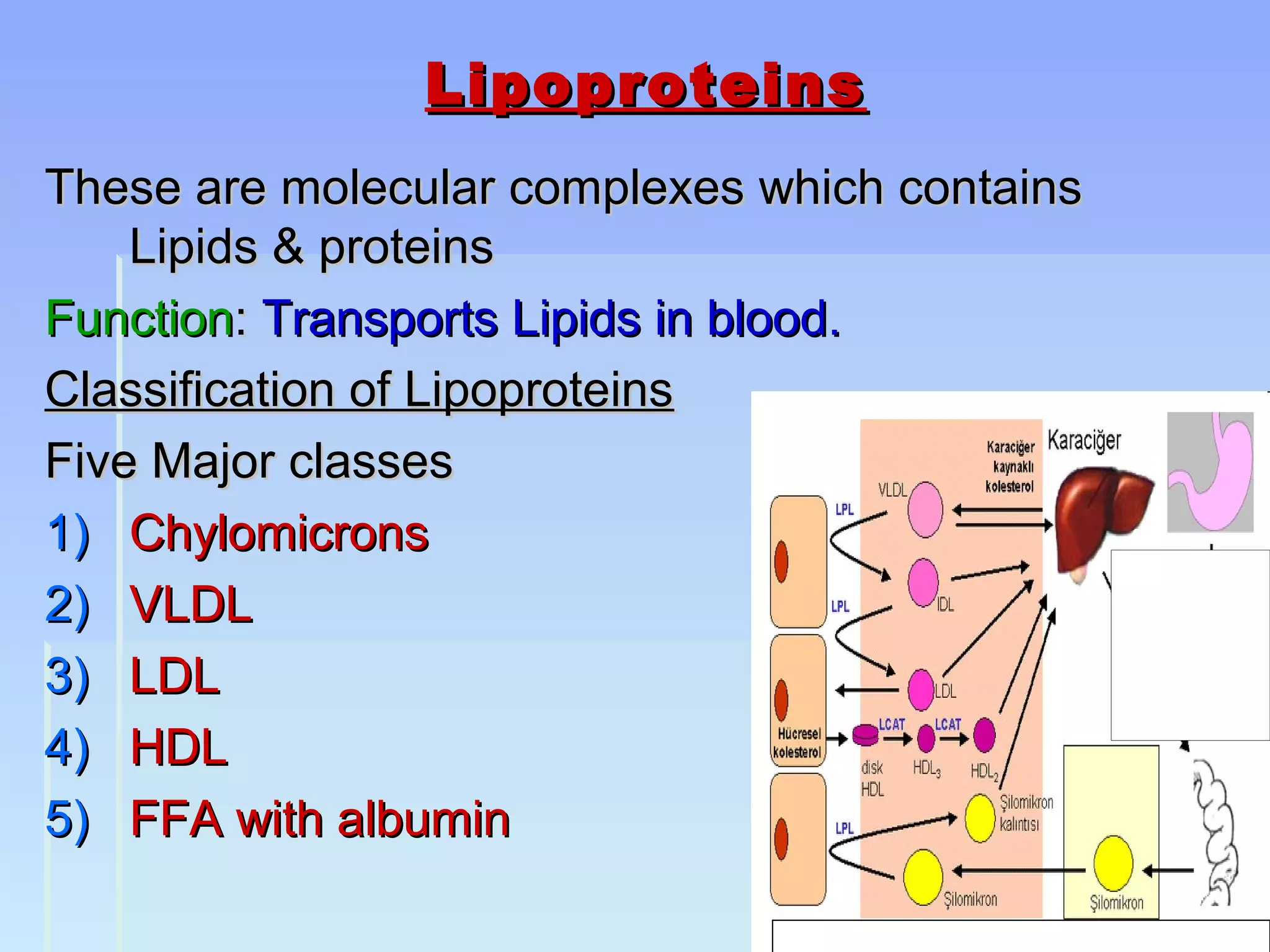 Lipo protein metabolism | PPT