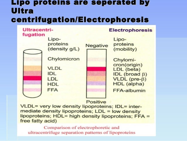 Lipo protein metabolism