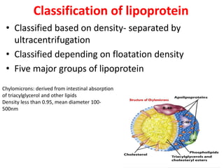 Lipoprotein metabolism | PPTX