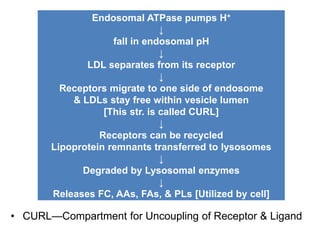 Lipoprotein metabolism | PPTX