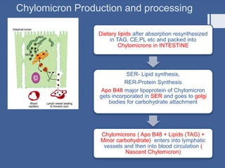 Lipoprotein metabolism | PPTX
