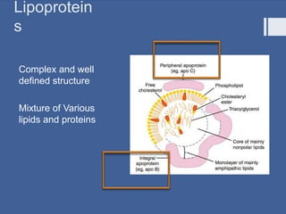 Lipoprotein metabolism | PPTX