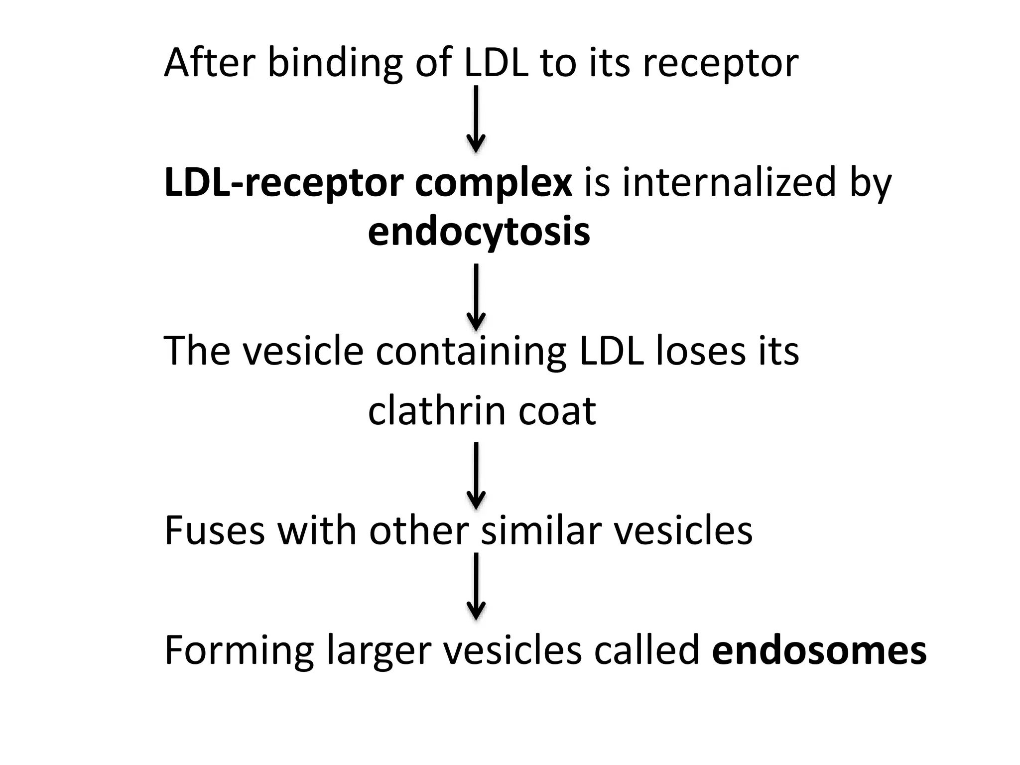 lipoprotein metabolism.pptx HDL METABOLISM, LDL METABOLIS, VLDL ...