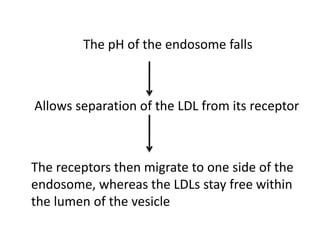 lipoprotein metabolism.pptx HDL METABOLISM, LDL METABOLIS, VLDL ...