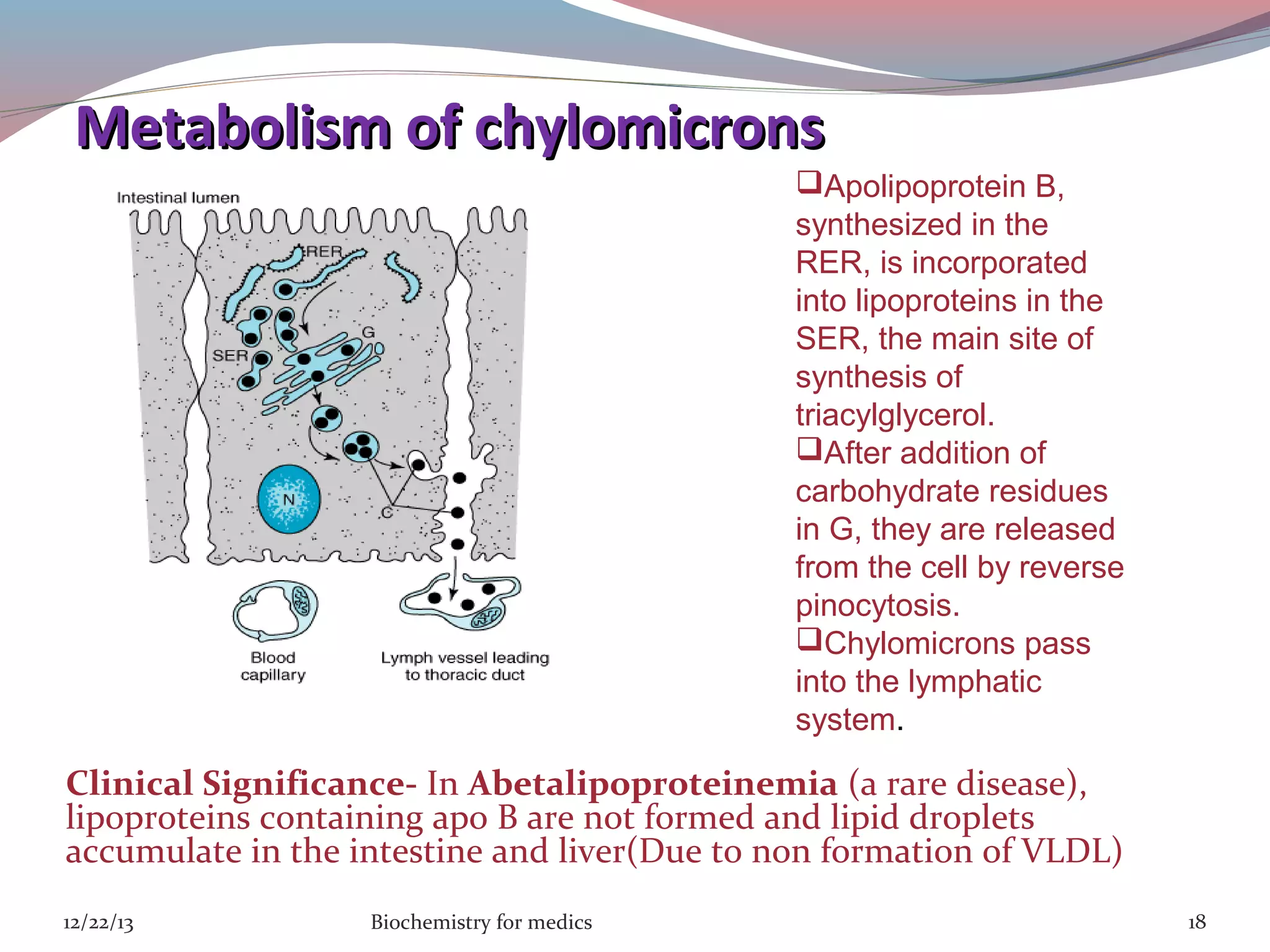 Lipoproteins- structure, classification, metabolism and clinical ...