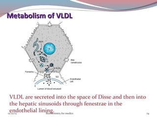 Vldl Structure