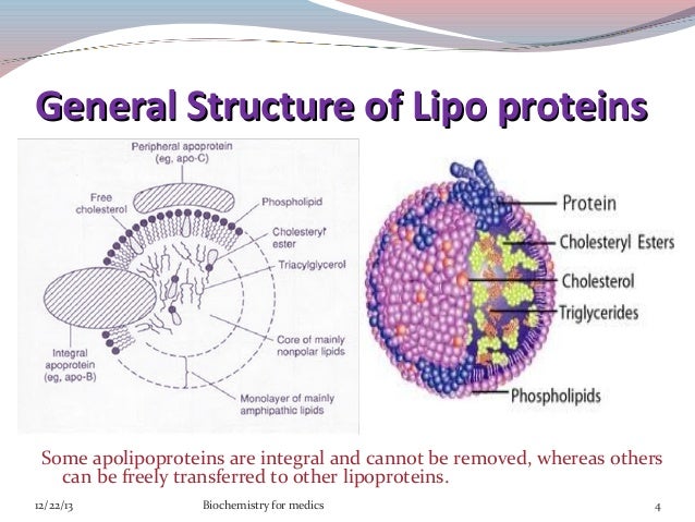 Lipoproteins- structure, classification, metabolism and clinical sign…