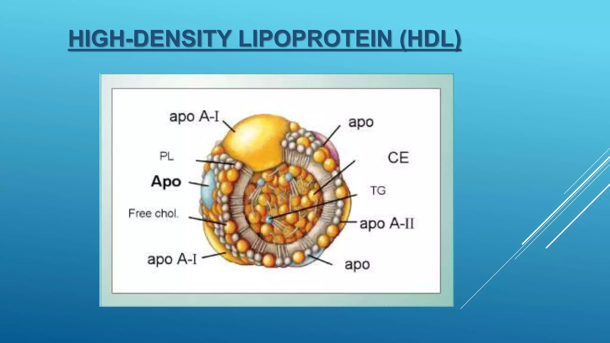 Lipoproteins | PPTX
