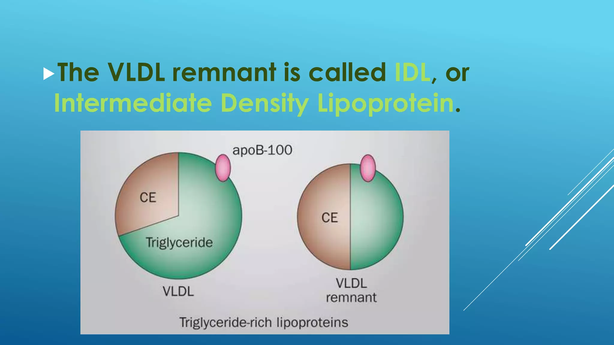 Lipoproteins | PPTX