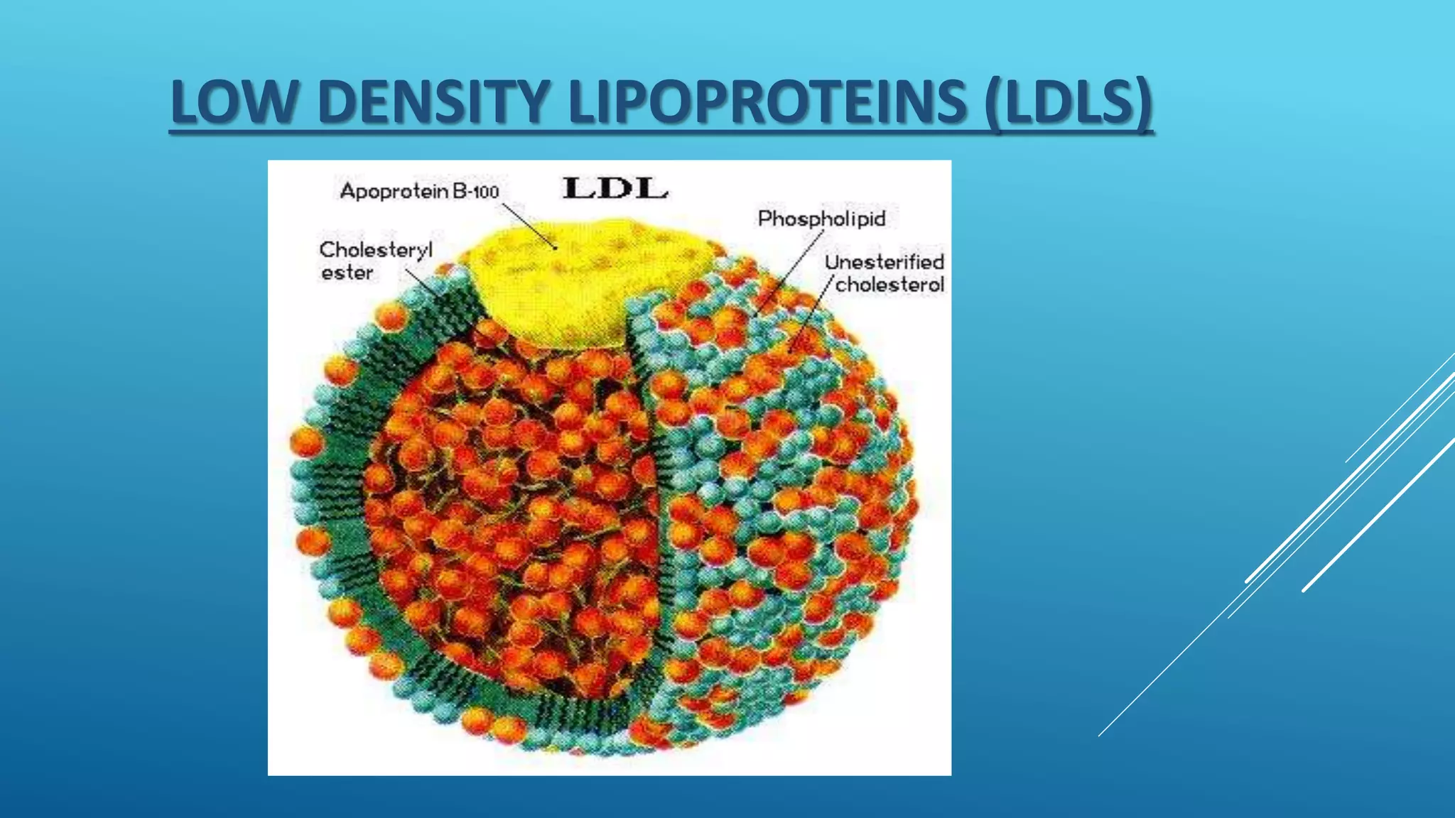 Lipoproteins | PPTX