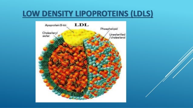 Lipoproteins