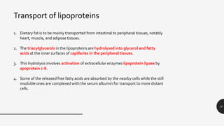 Lipoproteins | PPTX | Heart and Cardiovascular Diseases | Diseases and ...