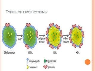 Lipoproteins | PPTX