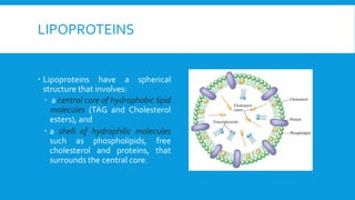 Lipoproteins | PPTX