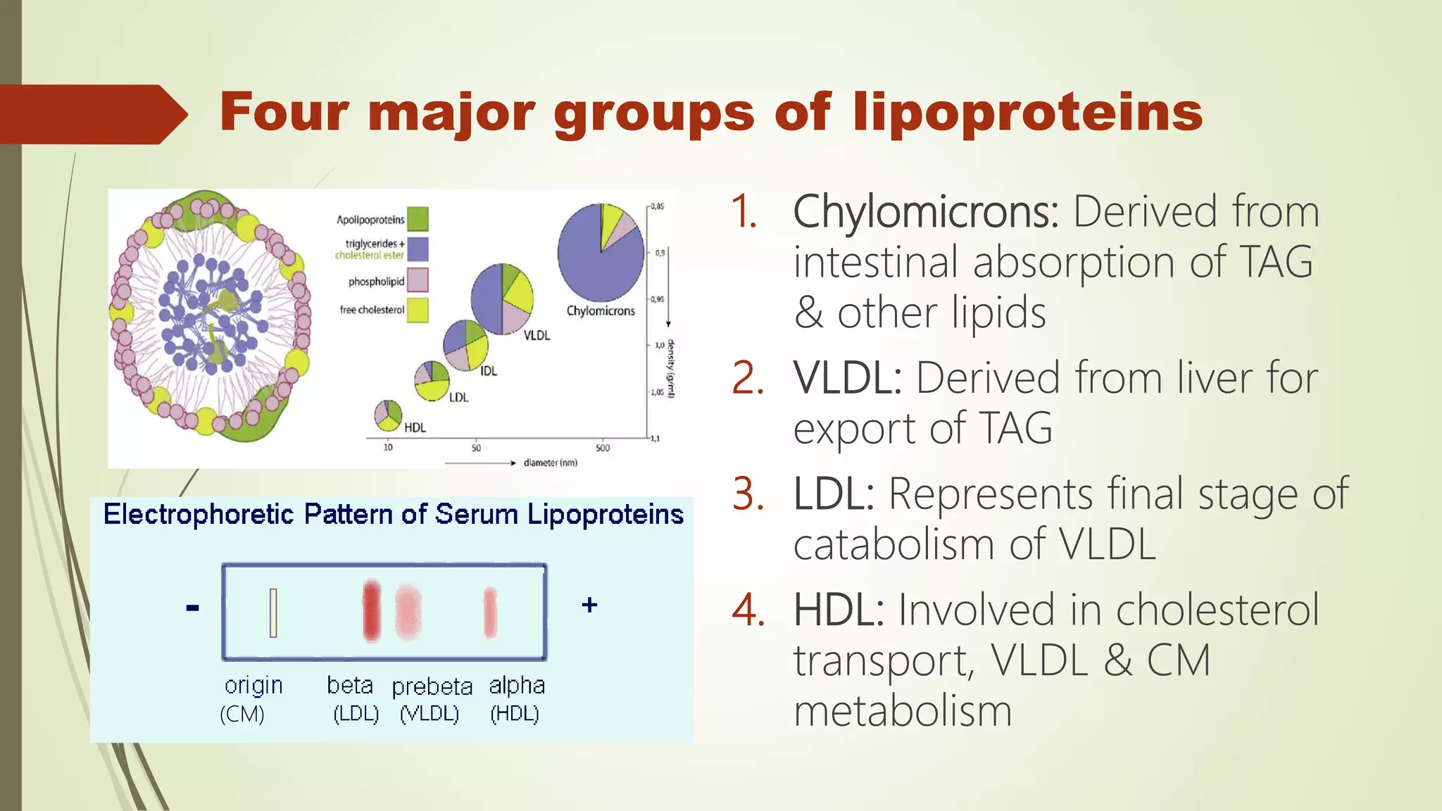 Lipoproteins Metabolism | PPTX