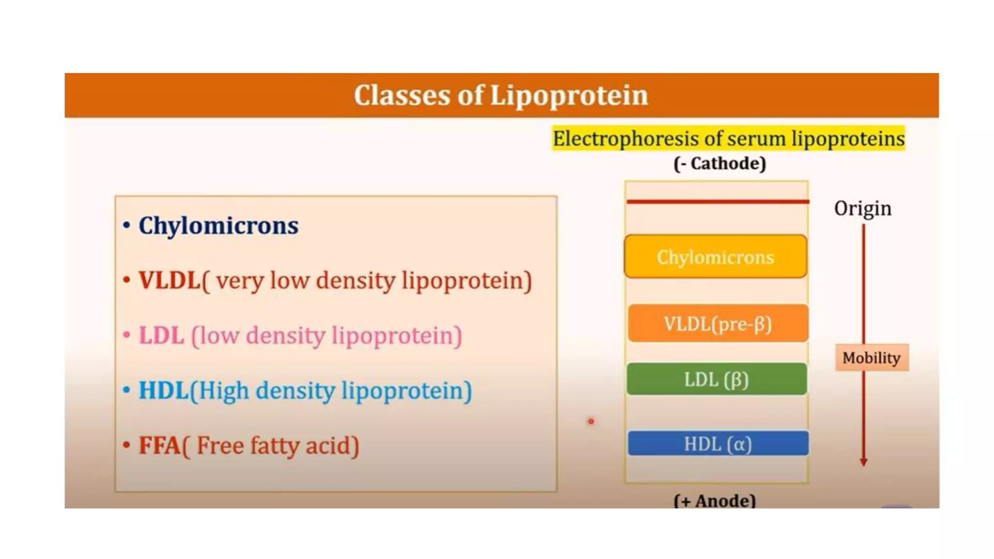 LIPOPROTEINS.ppt | Heart and Cardiovascular Diseases | Diseases and ...
