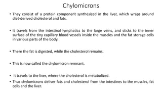 LIPOPROTEINS.ppt