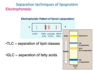 lipoproteins types and classication in the body and role of them in ...