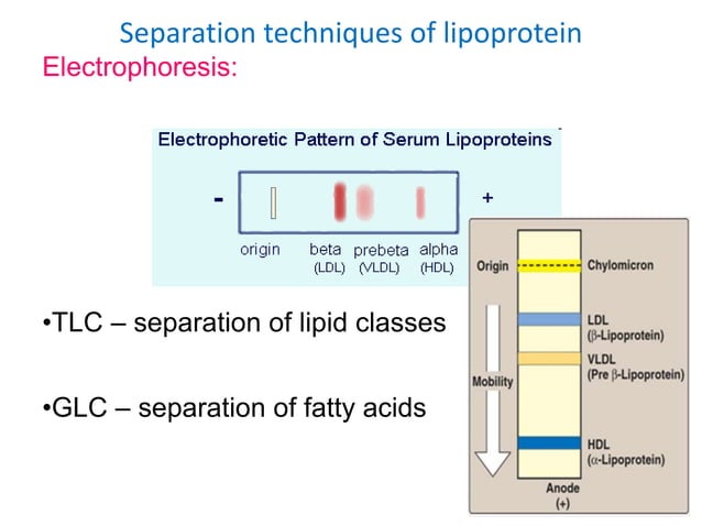 lipoproteins types and classication in the body and role of them in ...