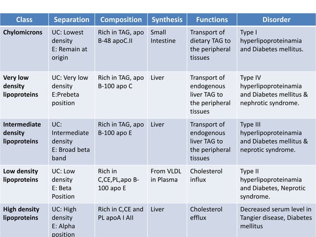 lipoproteins types and classication in the body and role of them in ...