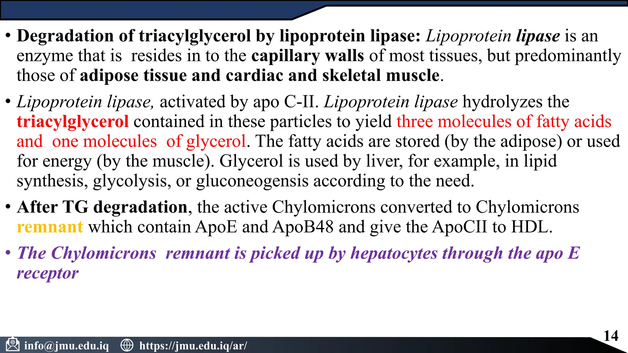 Lipoproteins.pdf for Mbbs ist year Batch 2025_2026 | PDF