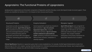Lipoproteins-Structure-Function-and-Related-Disorders (1).pptx