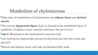 Lipoproteins and their functions AHS.pptx
