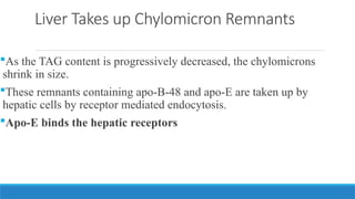 Lipoproteins and their functions AHS.pptx