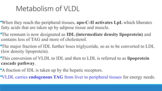 Lipoproteins and their functions AHS.pptx