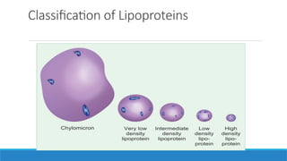 Lipoproteins and their functions AHS.pptx