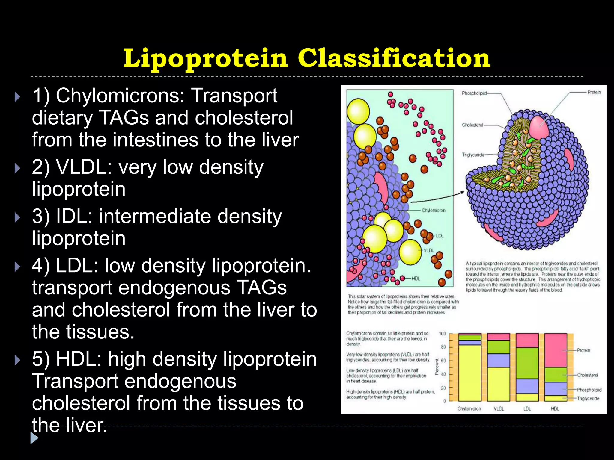lipoproteins Basics | PPTX