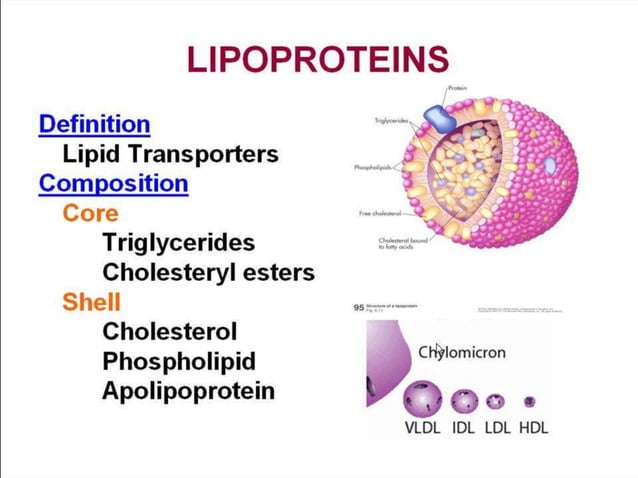 lipoproteins Basics | PPT