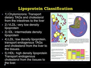 lipoproteins Basics | PPTX