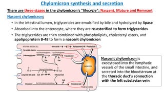 Lipoproteins I 19-2-2021_060347.pptbbnrx | PPT