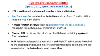 Lipoproteins I 19-2-2021_060347.pptbbnrx | PPT