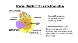 Lipoproteins I 19-2-2021_060347.pptbbnrx | PPT