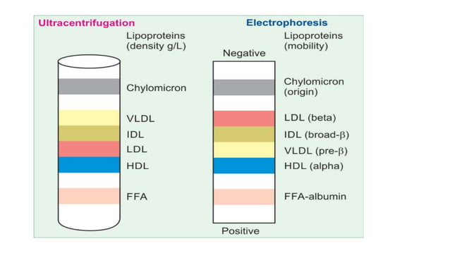 lipoproteins mbbs jsv vs sjvn jsvsb jambs | PPT