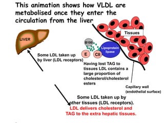 Lipoproteins metabolism lecture note .pptx
