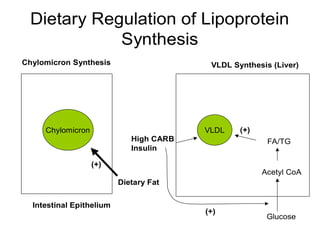 Lipoproteins metabolism lecture note .pptx