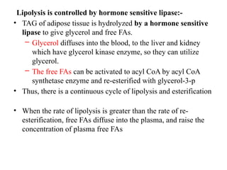 Lipoproteins metabolism lecture note .pptx