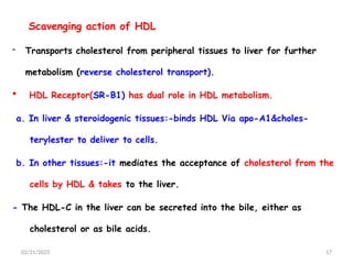 Lipoproteins metabolism.pptx biochemistry | PPT