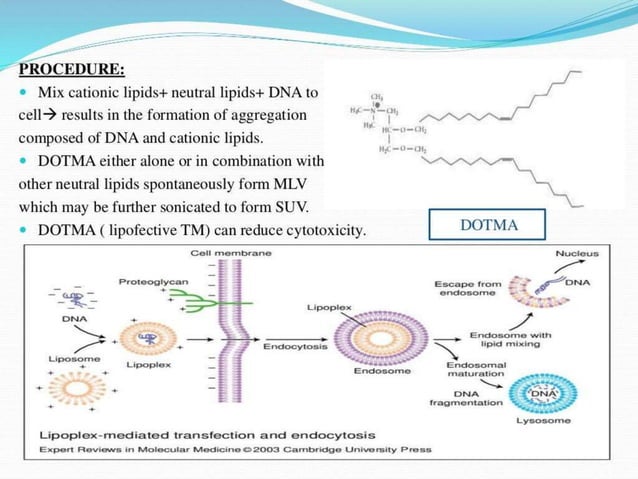 liposomal-gene-delivery-system.pptx