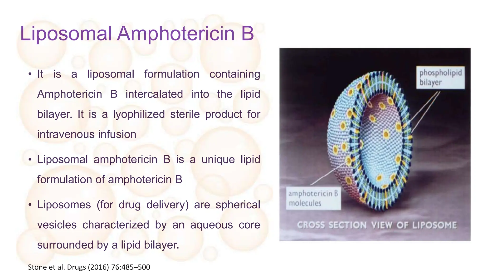Liposomal amphotericin B in management of invasive fungal infections ...