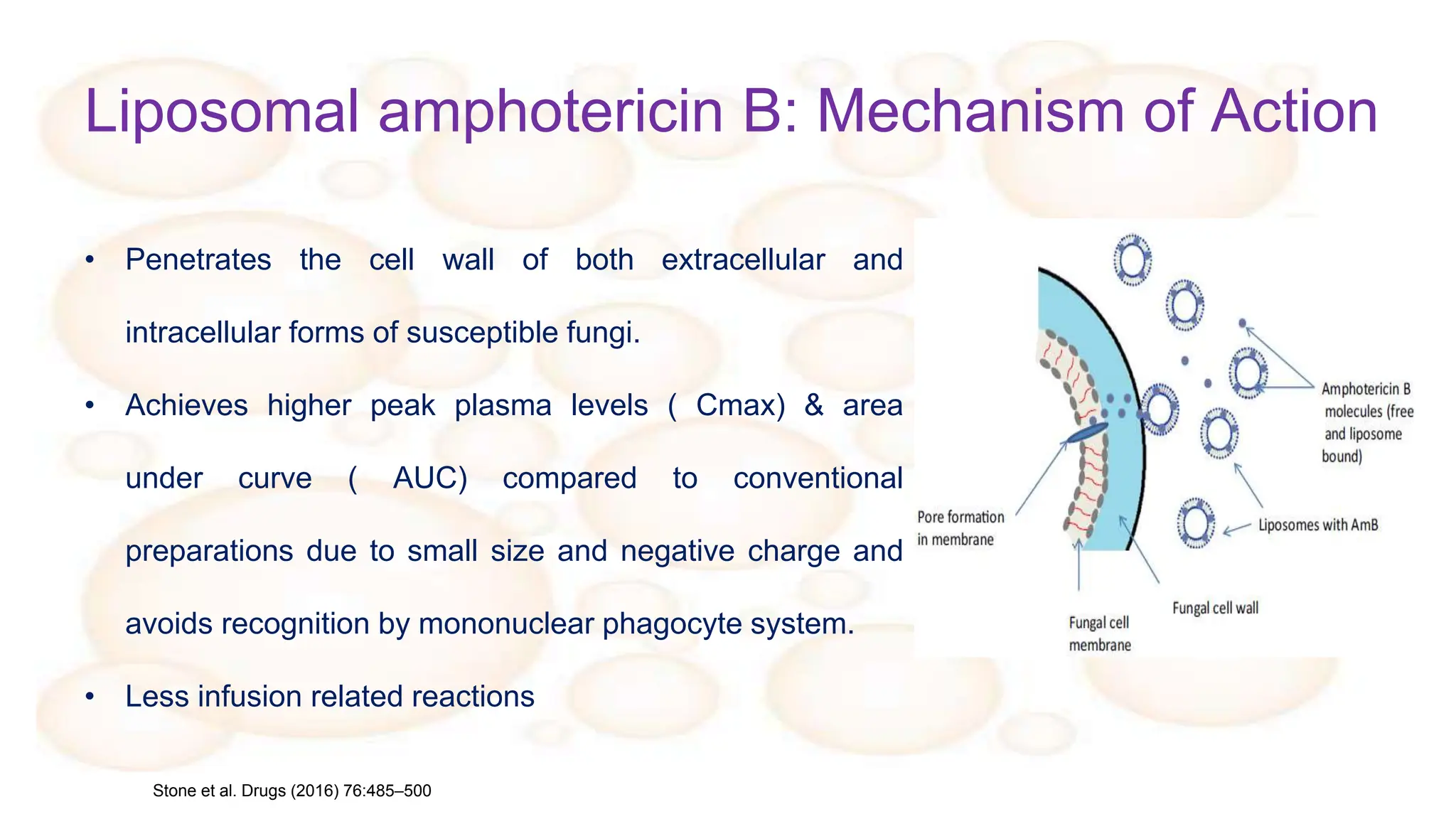 Liposomal amphotericin B in management of invasive fungal infections ...