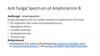 Liposomal amphotericin B in management of invasive fungal infections ...