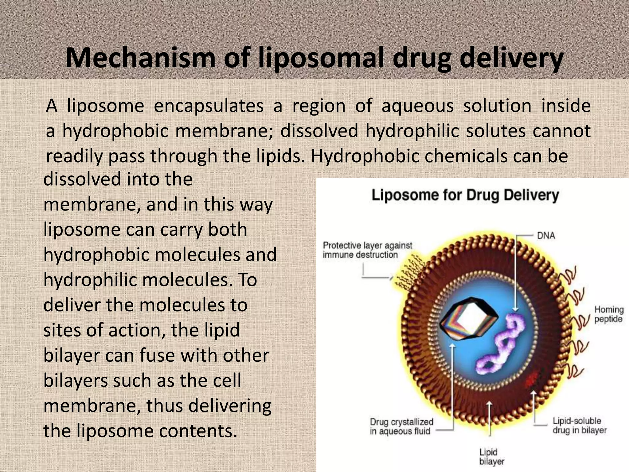 Liposomal drug delivery system | PPTX