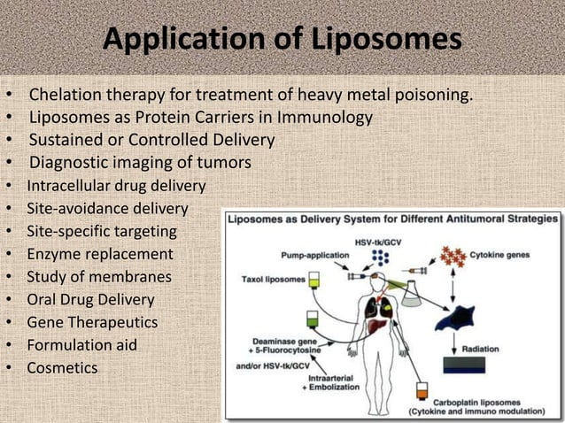 Liposomal drug delivery system | PPTX | Chemistry | Science